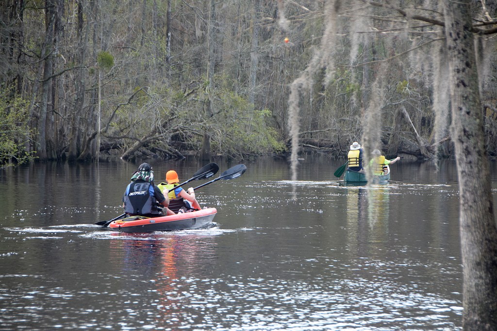 Reimagining Lumber River State Park and Fair Bluff to capture the ...